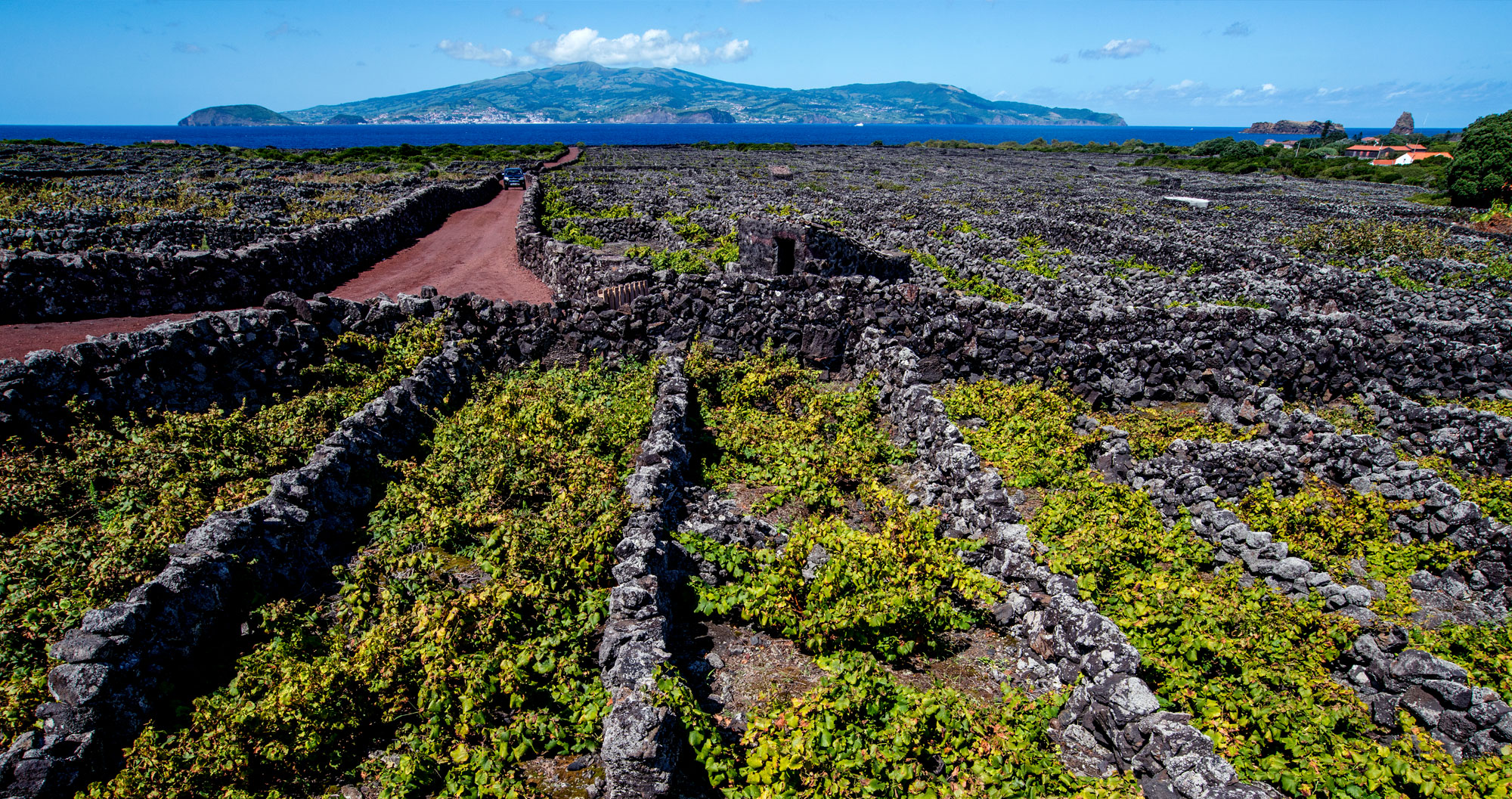 Landscape of the Pico Island Vineyard Culture – European Atlantic ...